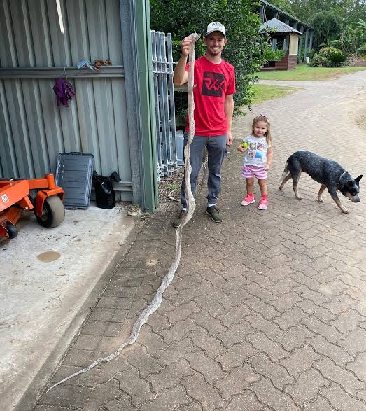 Casey Stoner Expresses Concern Over Unusual Snake Sightings: A Growing ...